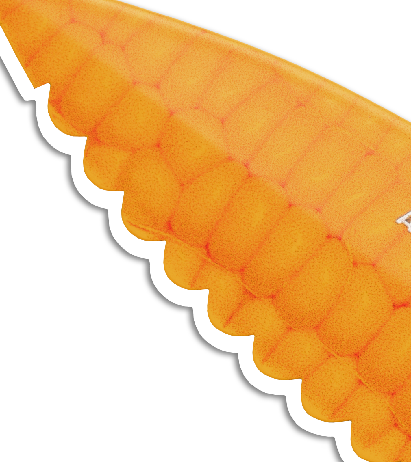 How to Sharpen a Serrated Knife - Knife Life