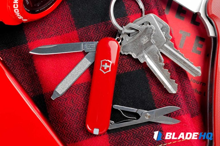 Everyday Carry (EDC) Knives: Everything You Need to Know